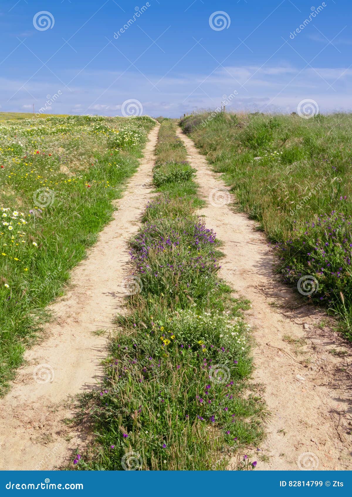 Dirt Road Track in a Country Landscape Stock Image - Image of uphill ...