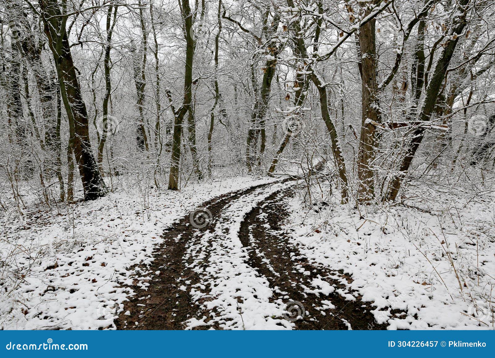 Dirt Road Turn in Winter Forest Stock Image - Image of woods, early ...