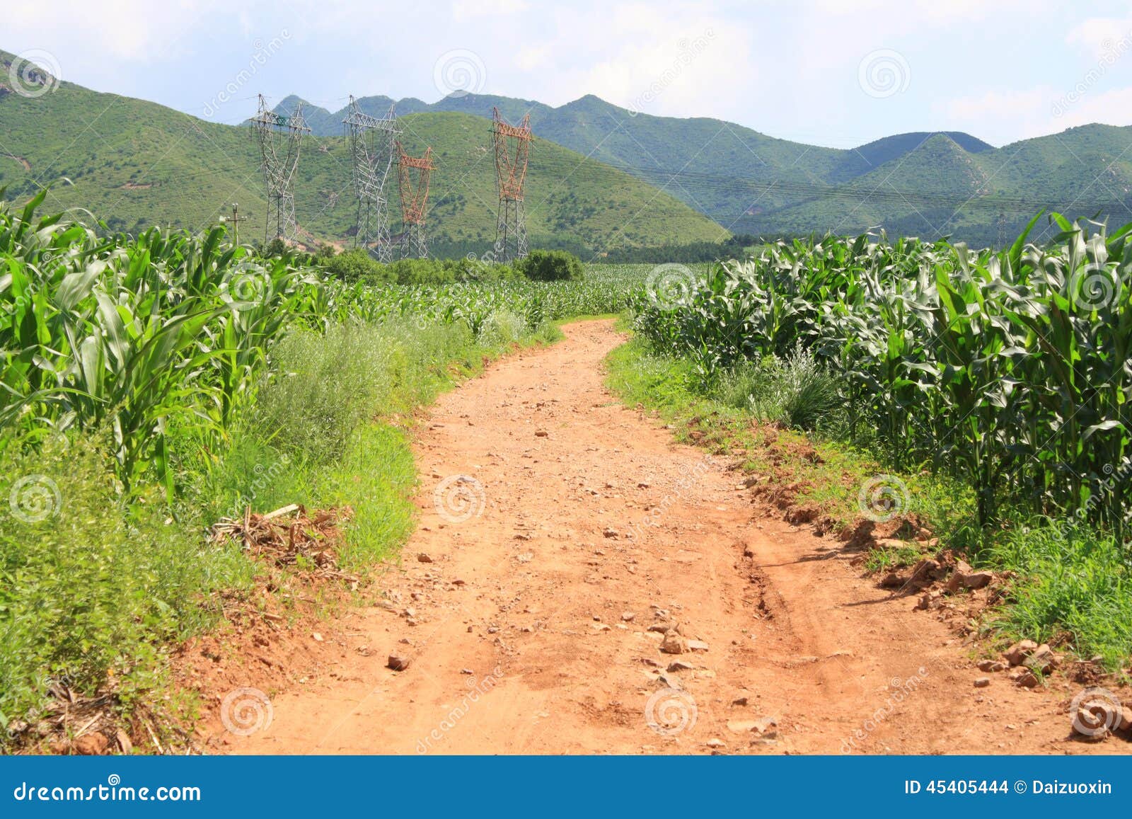 Dirt Road stock photo. Image of rural, green, lush, field - 45405444