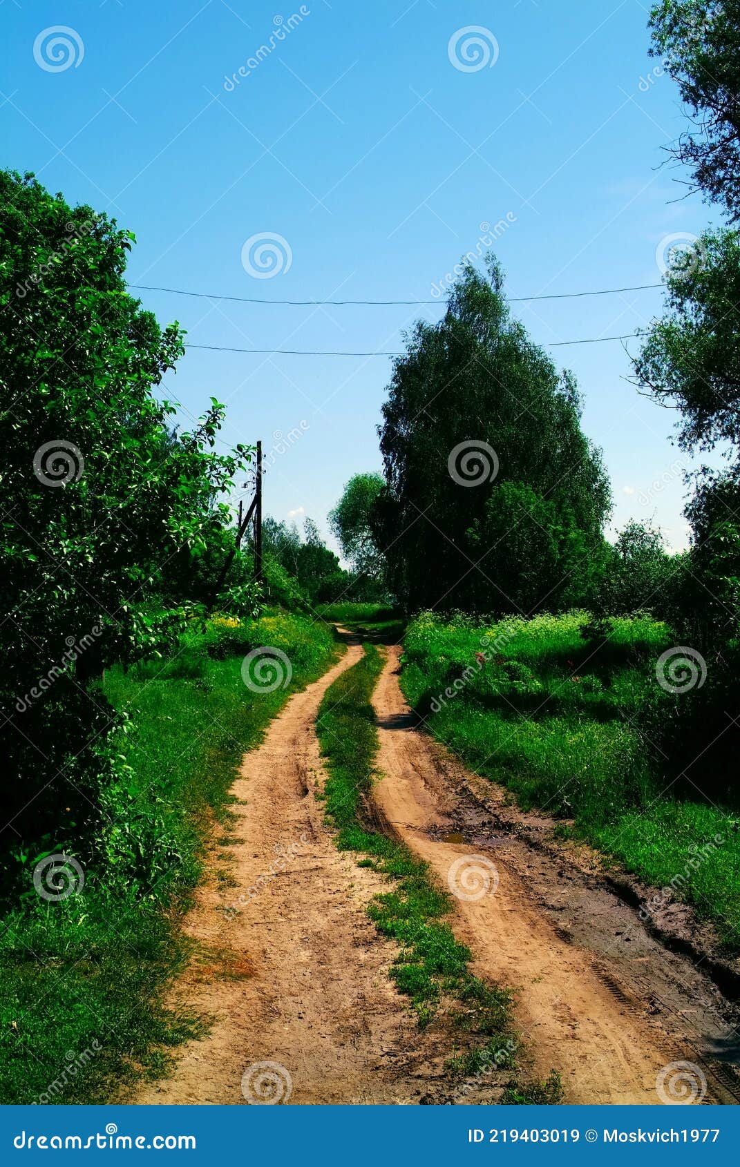 Dirt road in the village stock image. Image of animal - 219403019