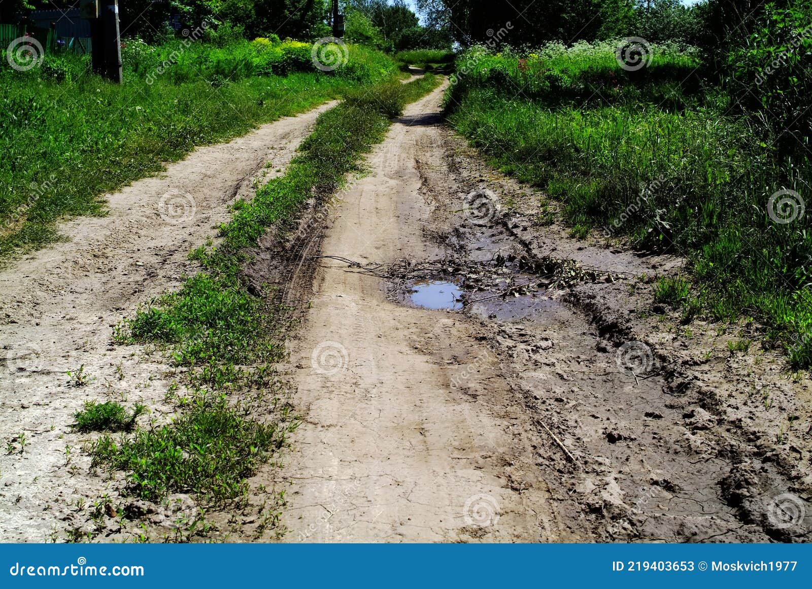 Dirt road in the village stock image. Image of beautiful - 219403653