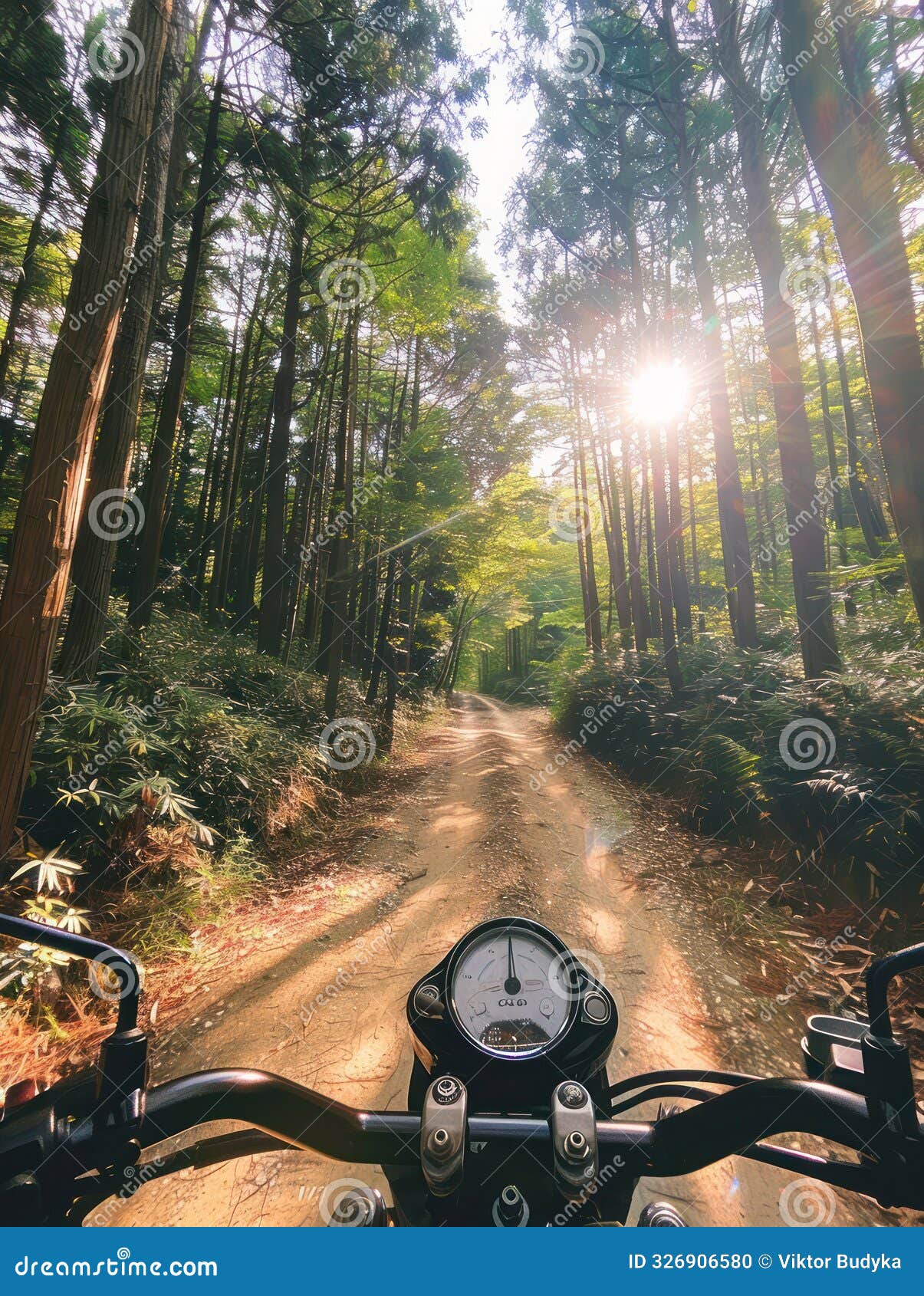 Dirt Road Winds Dense Forest. Black Motorcycle Parked Left Side with ...