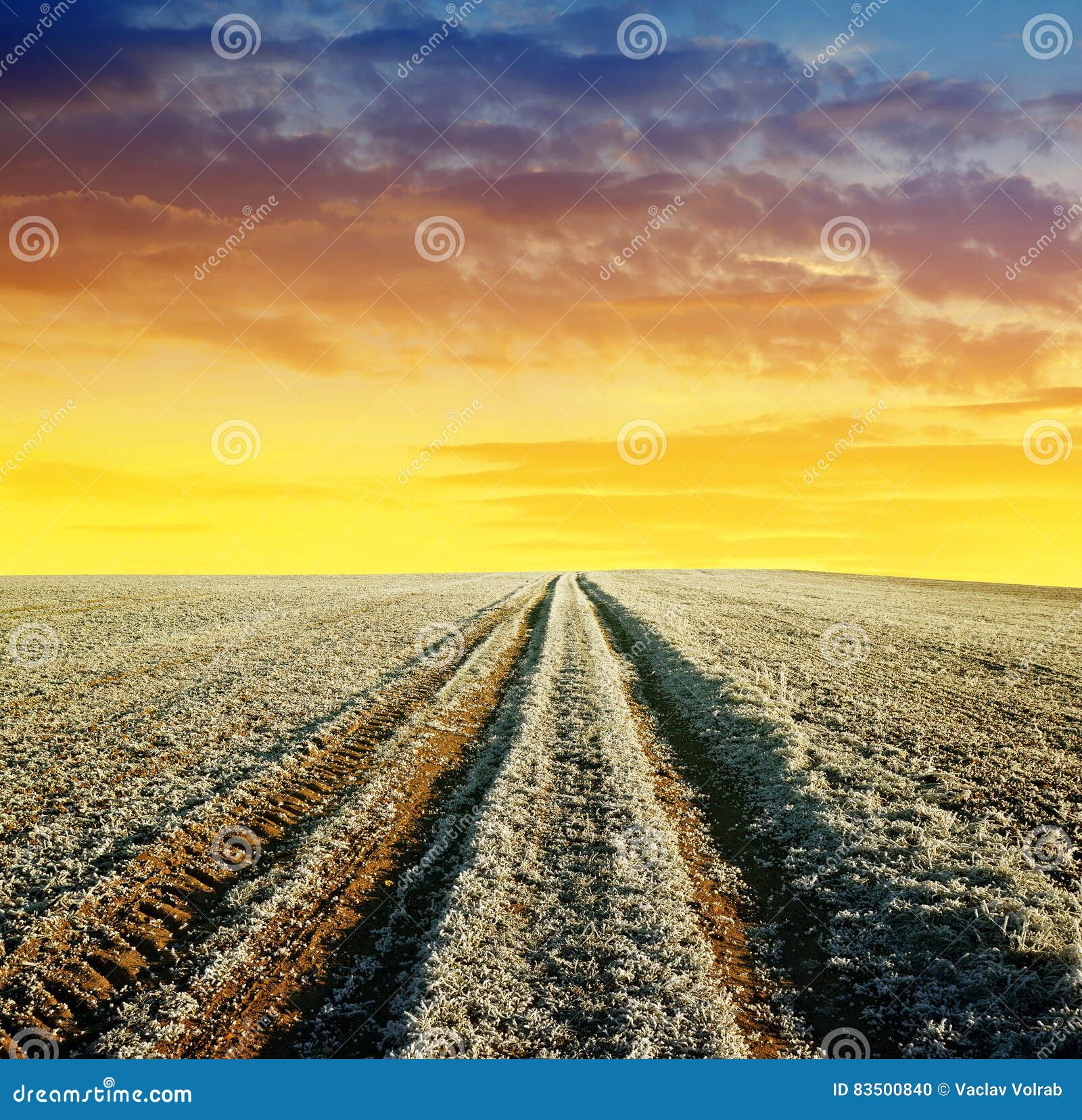 Dirt road in winter field stock photo. Image of season - 83500840