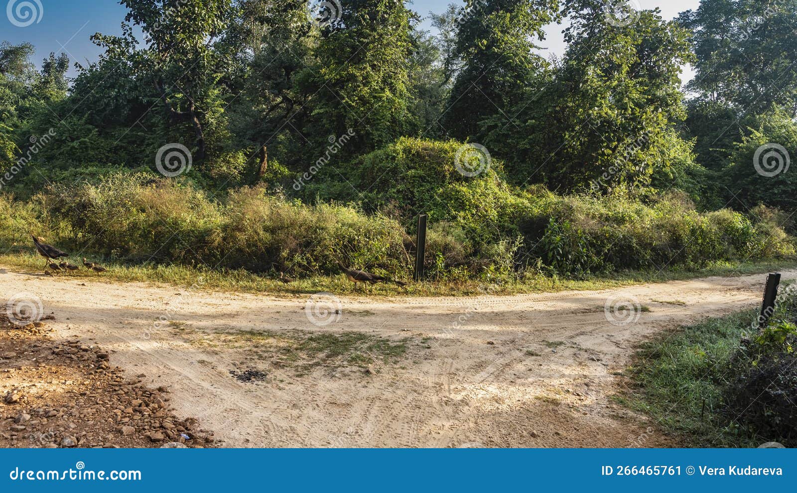 Dirt Roads Intersect in the Form of a Triangle. Stock Image - Image of ...