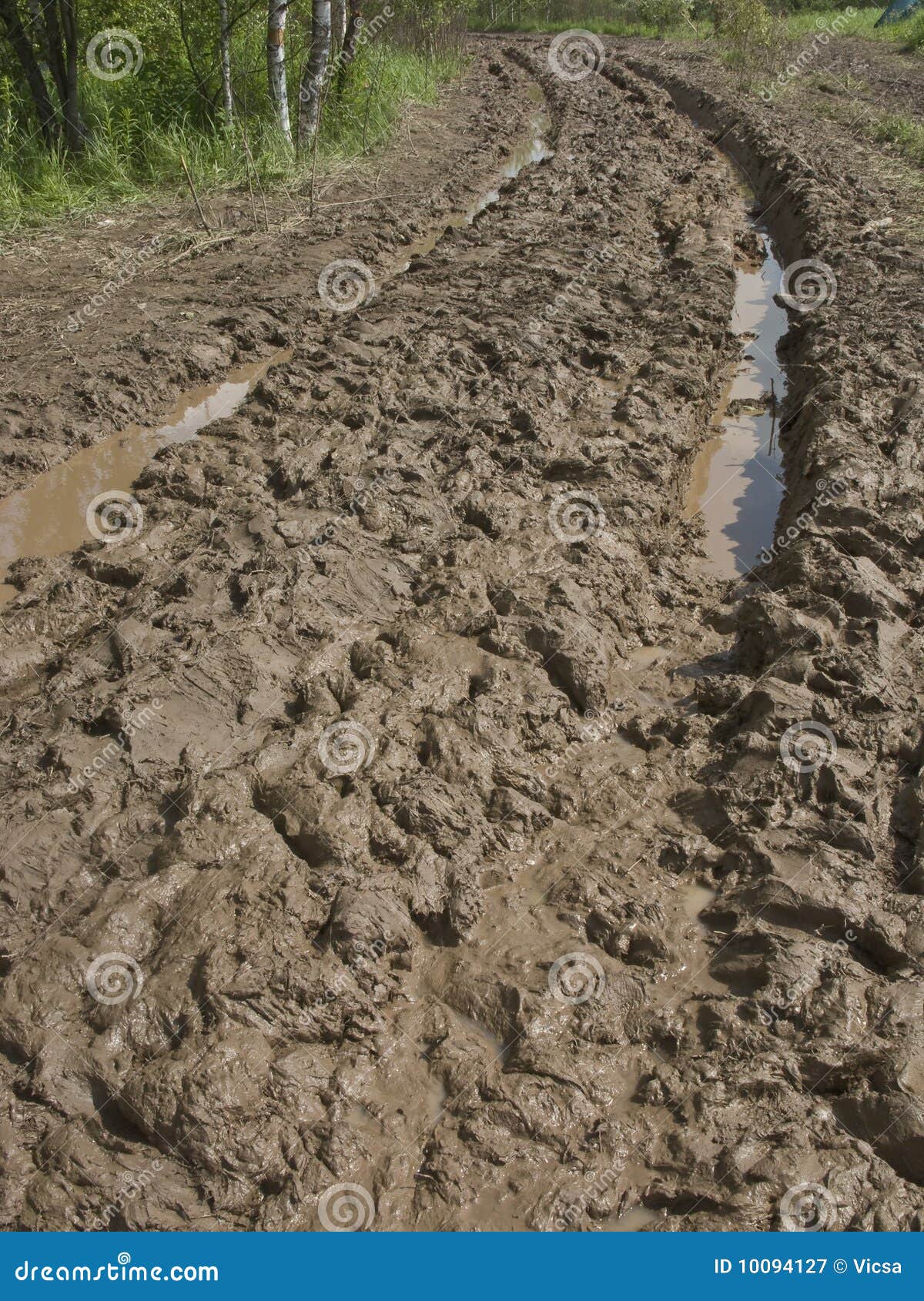 Dirt rut in the country stock image. Image of landscape - 10094127