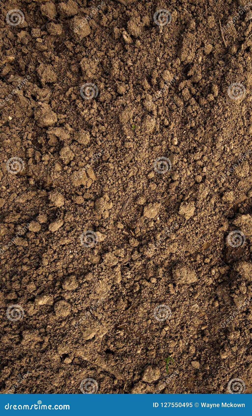 Dirt,soil,dust stock image. Image of cultivate, brown - 127550495