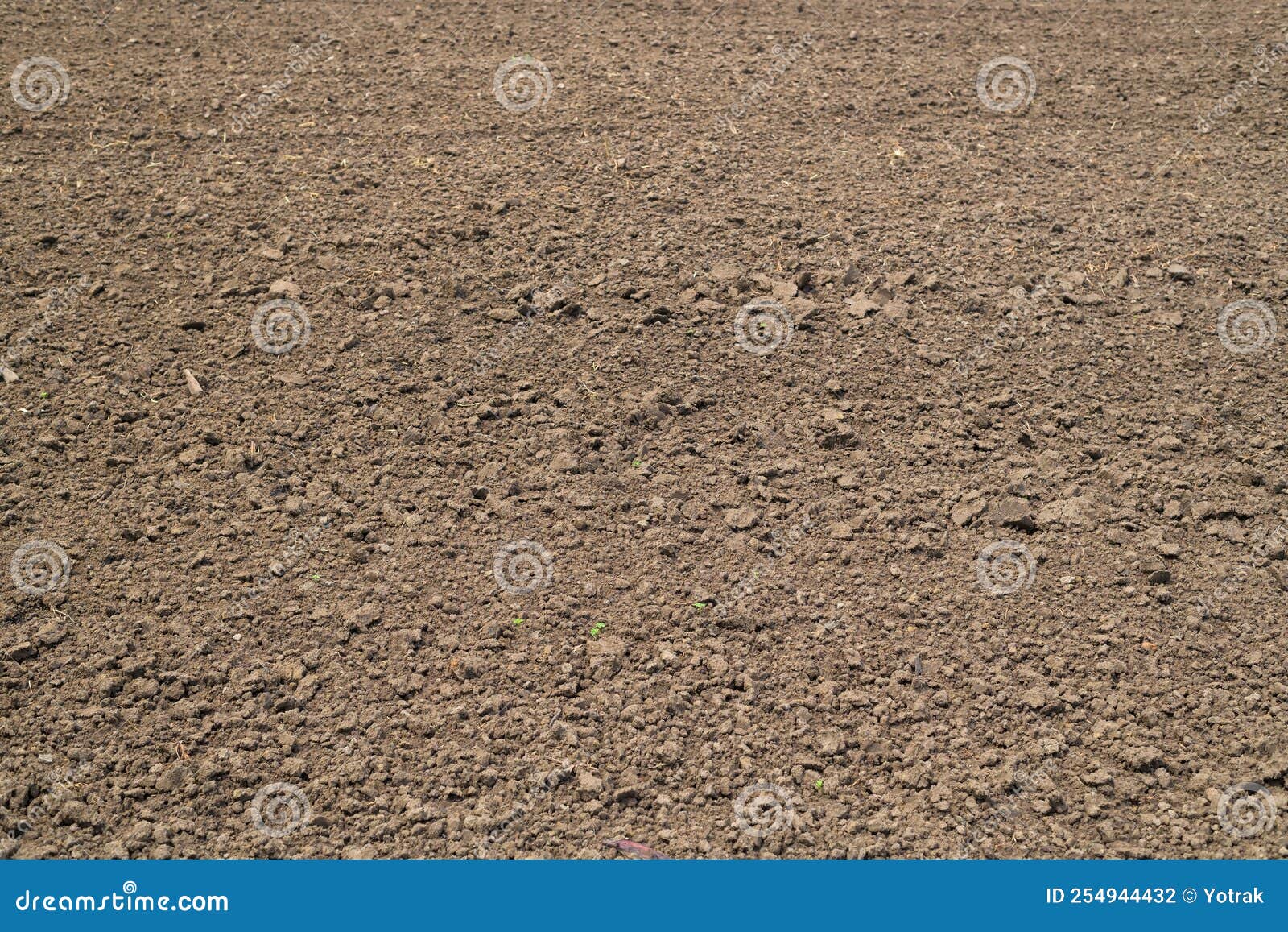 Dirt soil ground stock photo. Image of earth, environment - 254944432