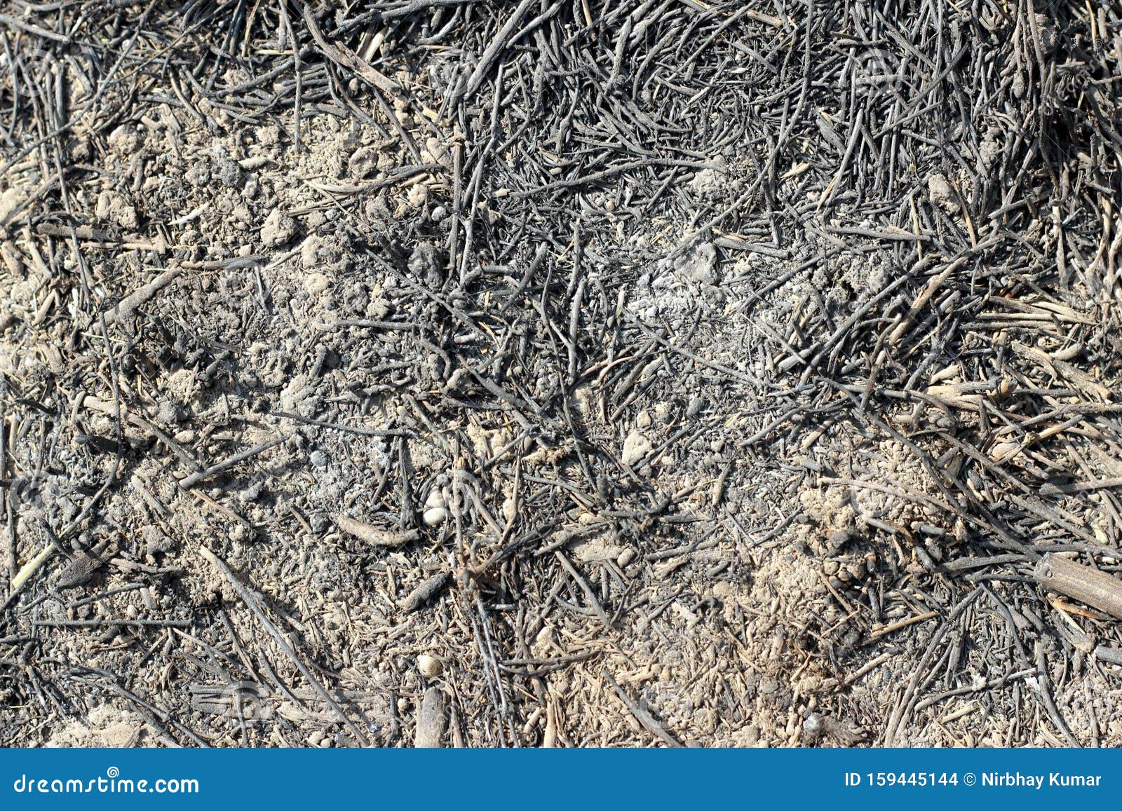 Dirt soil texture stock photo. Image of close, clod - 159445144