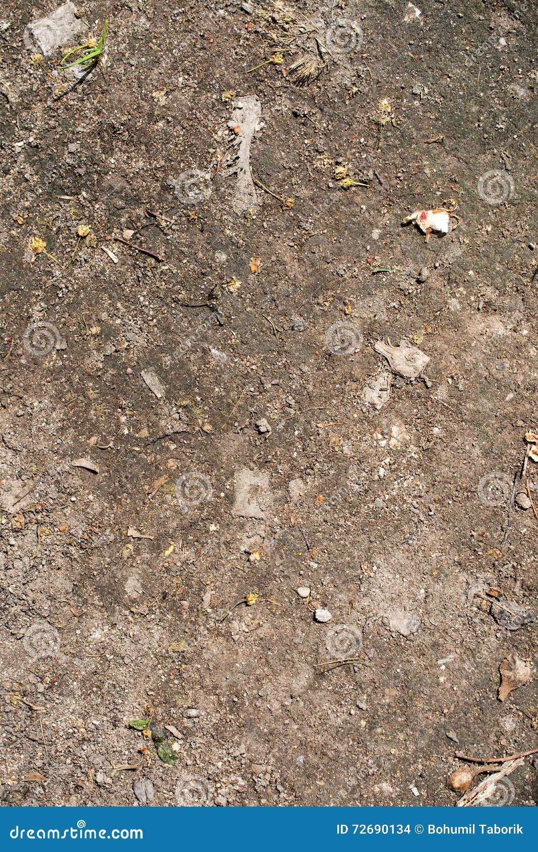 Dirt Surface with Small Stones Stock Photo - Image of background, grain ...