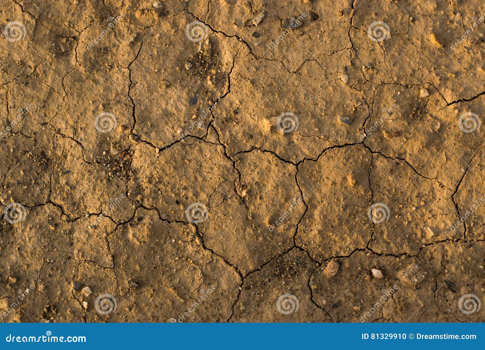 Dirt Texture stock photo. Image of warm, backgorund, texture - 81329910