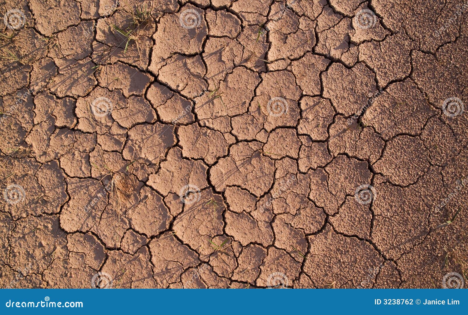 Dirt Track Picture. Image: 3238762