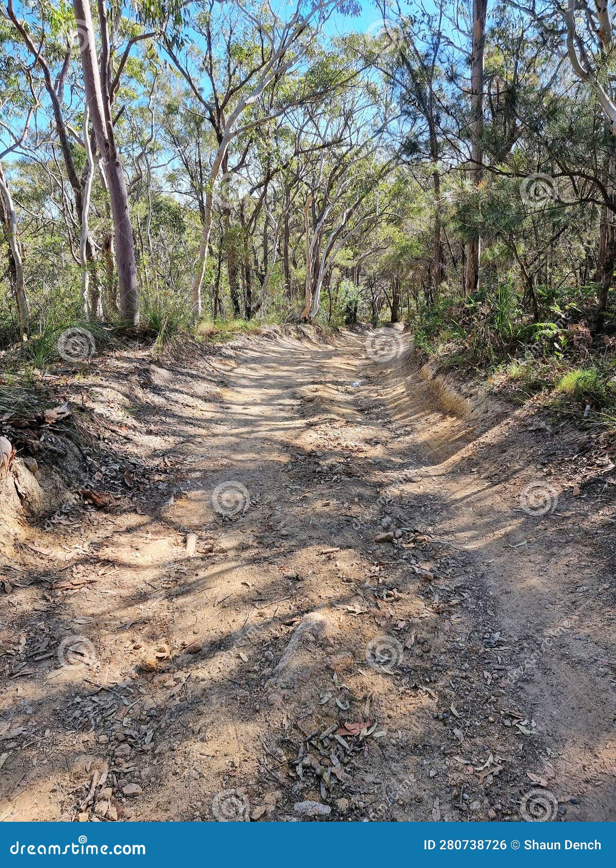 Dirt Track in the Australian Bush Stock Photo - Image of trail, natural ...