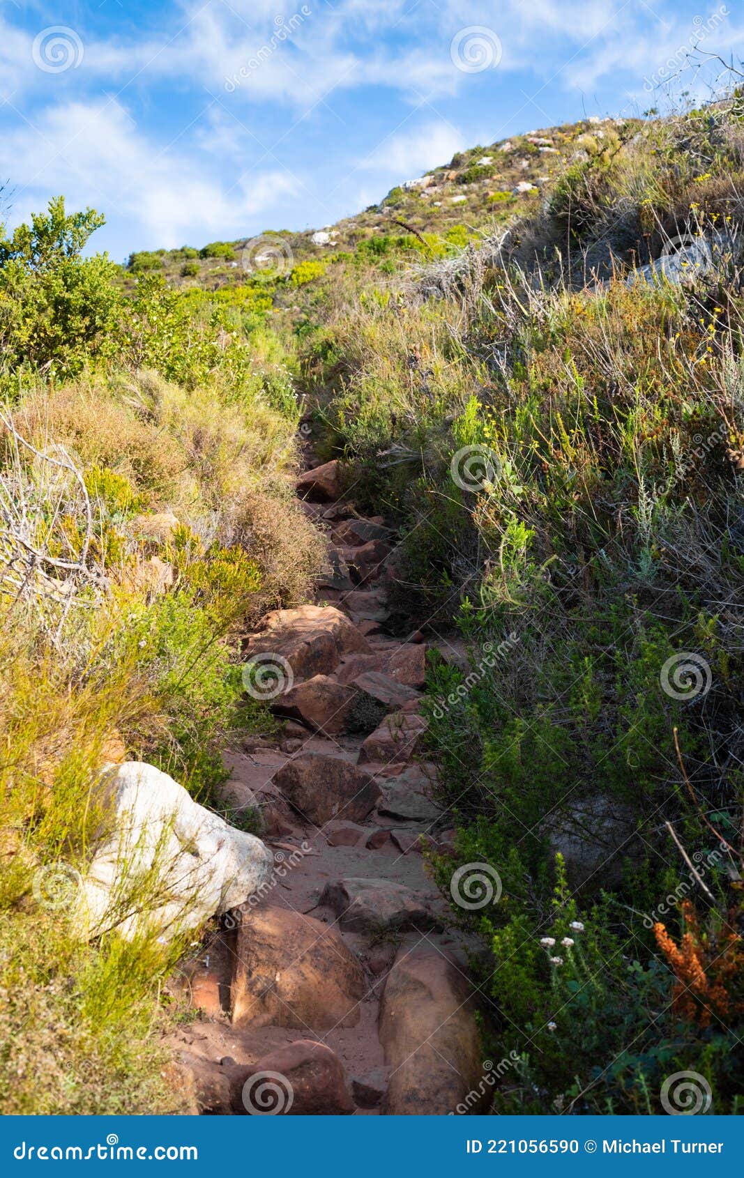 Dirt Track Hiking Paths on Top of a Mountain by the Coast Stock Photo ...