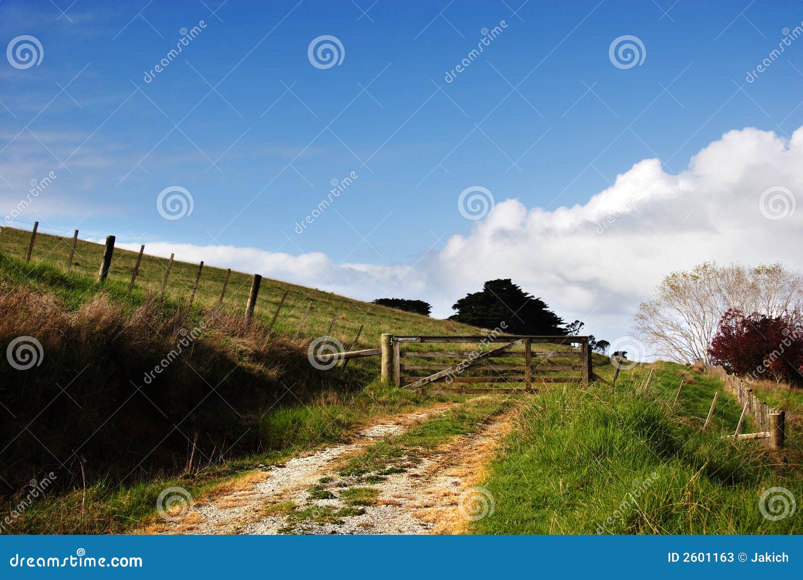 Dirt track to farm gate stock image. Image of green, graze - 2601163