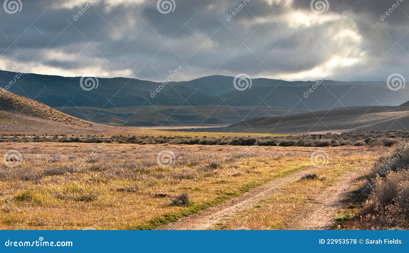 Antelope Tracks Stock Photos - Free & Royalty-Free Stock Photos from ...