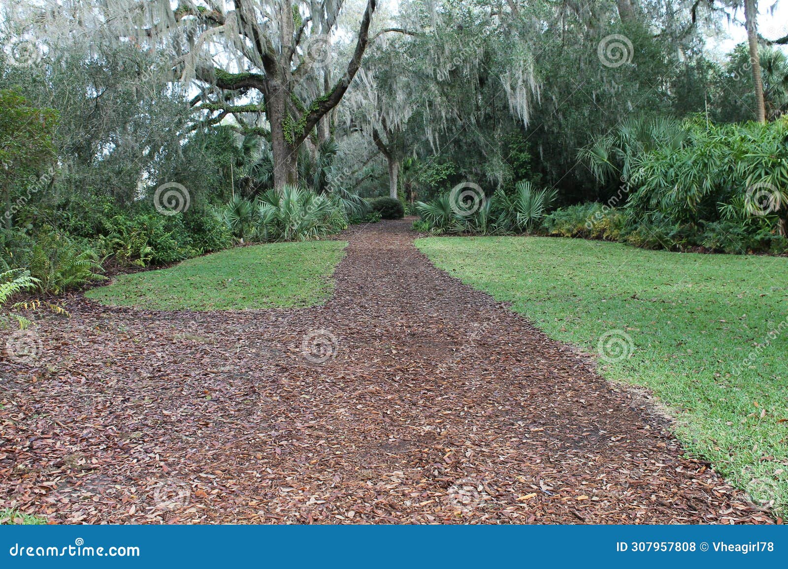A Dirt Walk Way with Nice Lawn Stock Photo - Image of grass, field ...