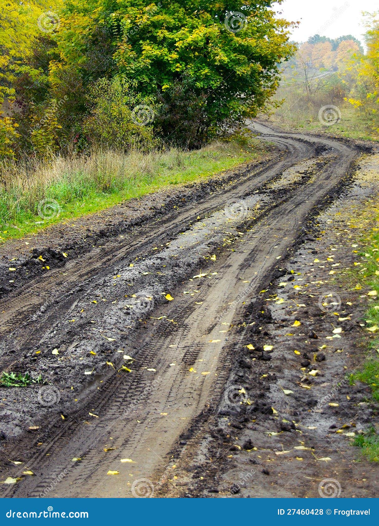 Dirt wet road stock photo. Image of bush, plant, land - 27460428