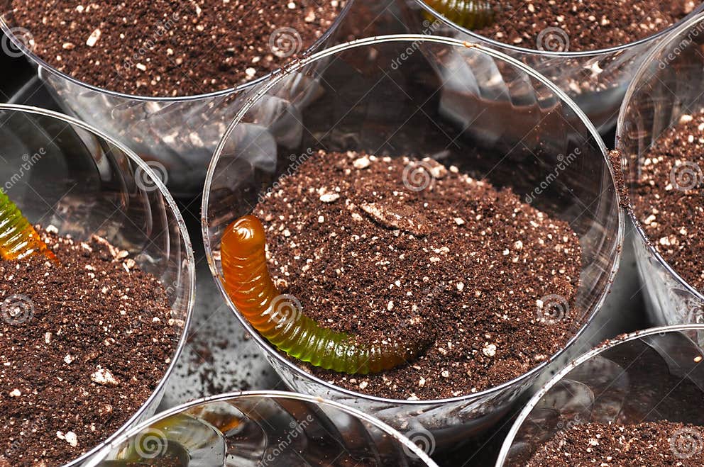 Dirt and Worms Desert stock image. Image of milk, restaurant - 15596307