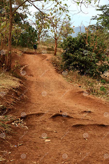 Dirth Path with African School Child Editorial Photography - Image of ...