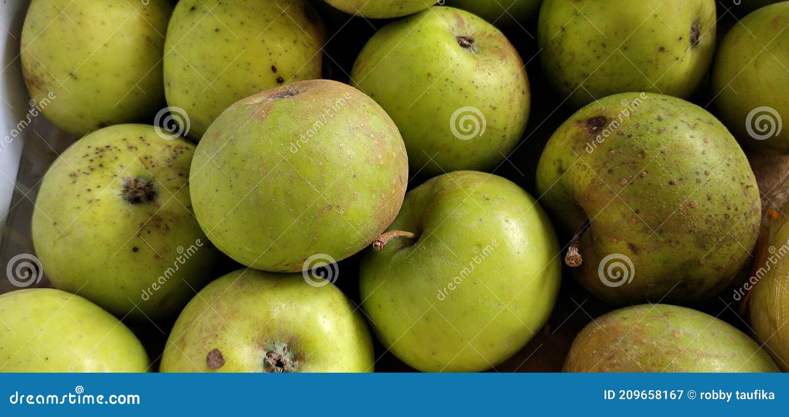 The Dirty Apples stock image. Image of plants, apples - 209658167