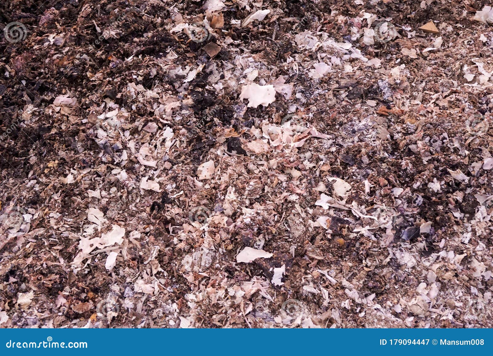 Dirty ash on the ground stock image. Image of outdoor - 179094447