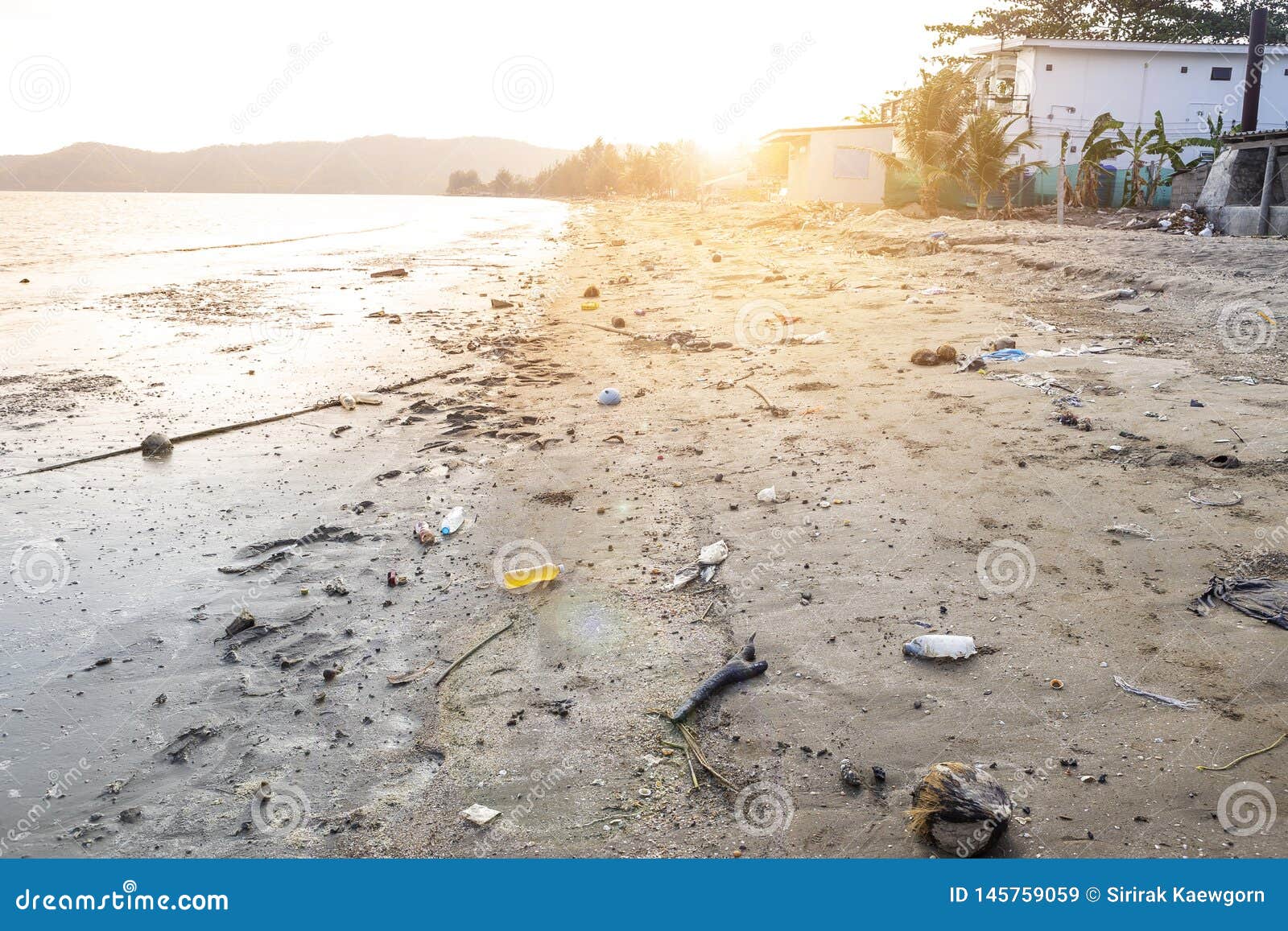 Dirty Beach, Environment Problem Concept Stock Image - Image of problem ...
