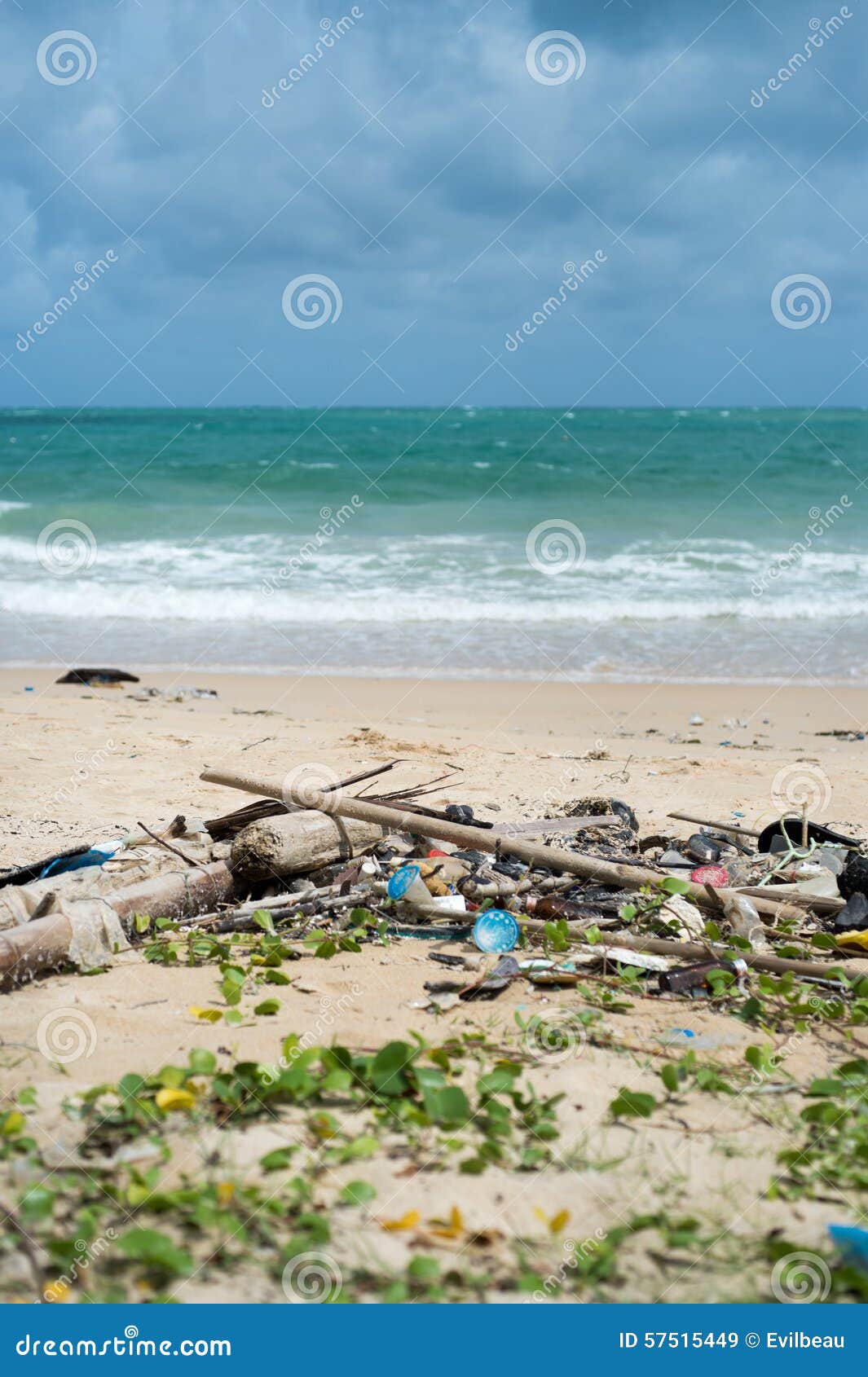 Dirty beach stock image. Image of problems, plastic, messy - 57515449
