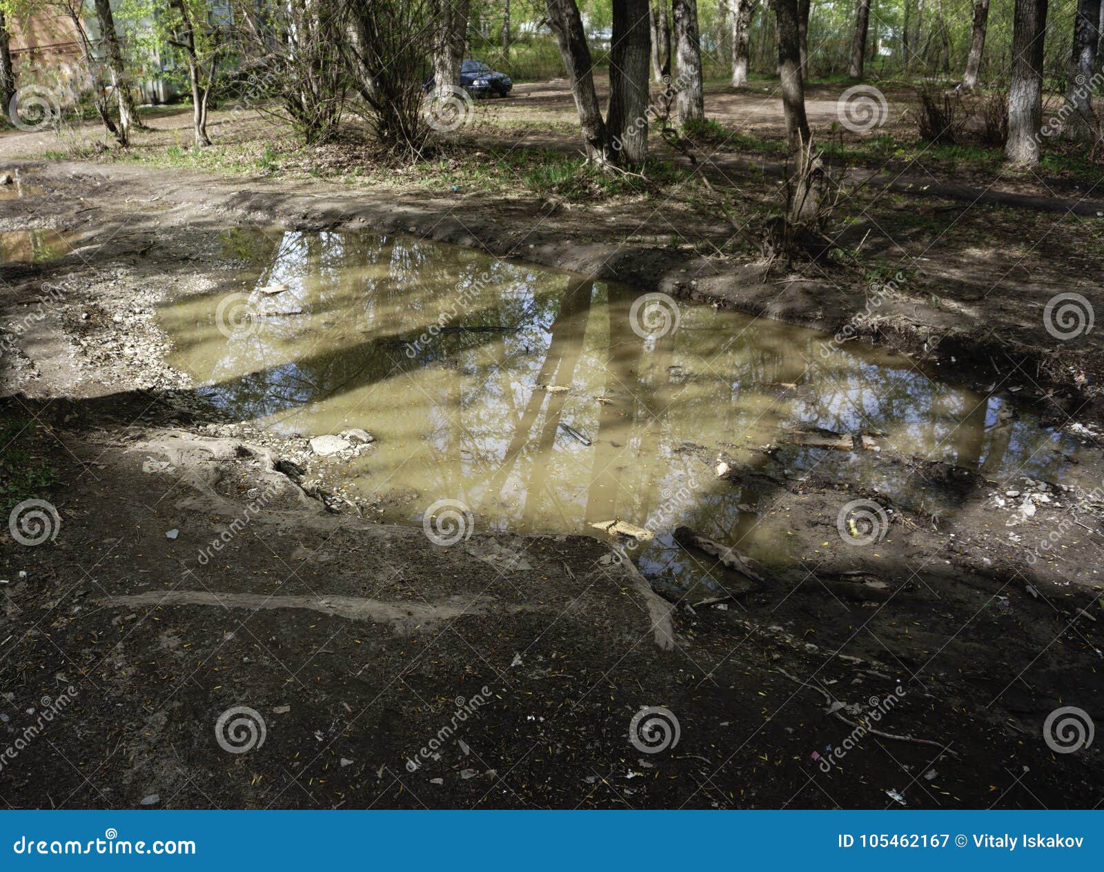 Dirty Big Puddle beside the Road Stock Image - Image of natural, rural ...