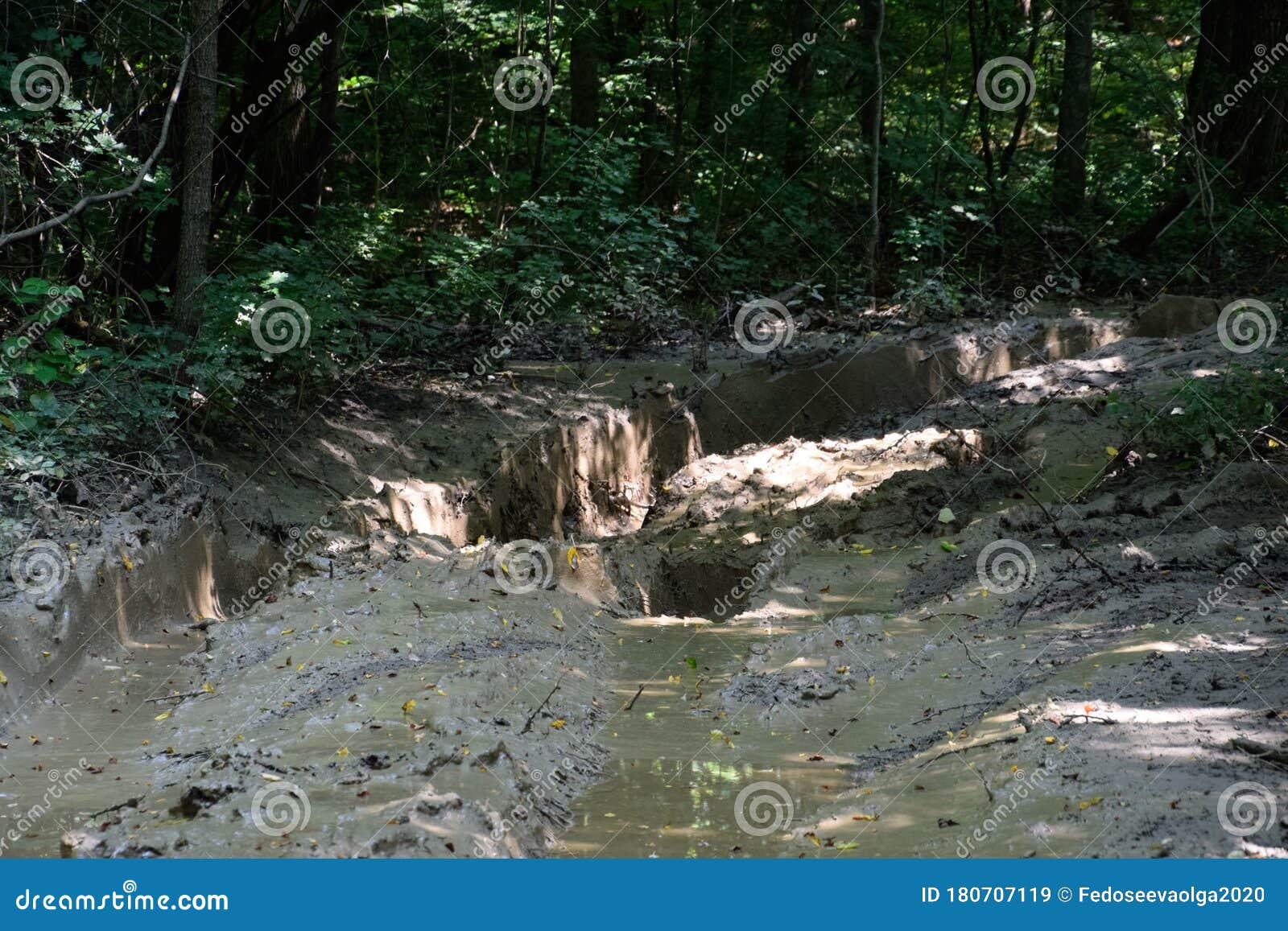Dirty Blurred Forest Road with Deep Rut Stock Image - Image of ...