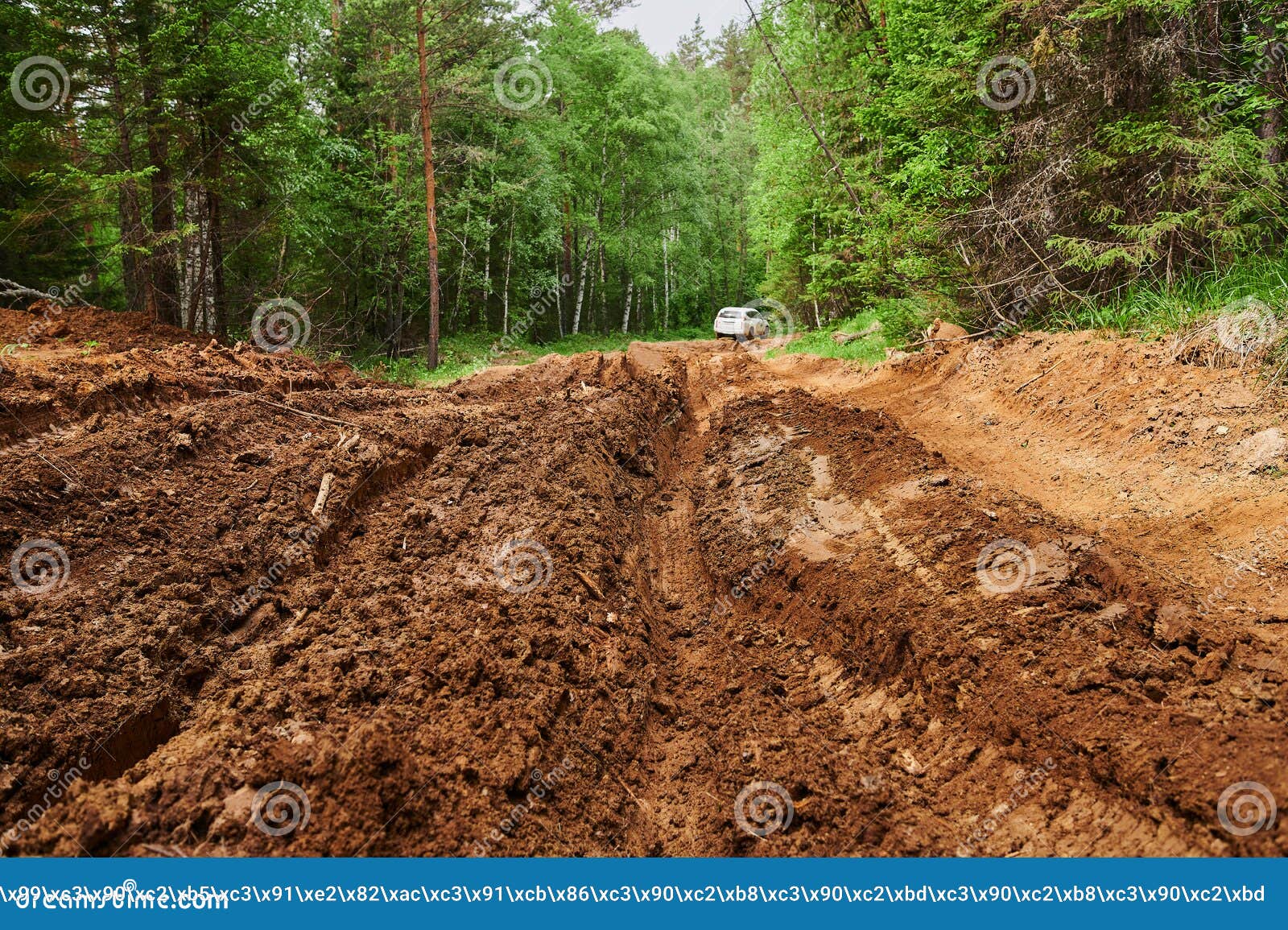 Dirty Blurry Dirt Road with Tire Tracks in Spring. Off-road. Stock ...