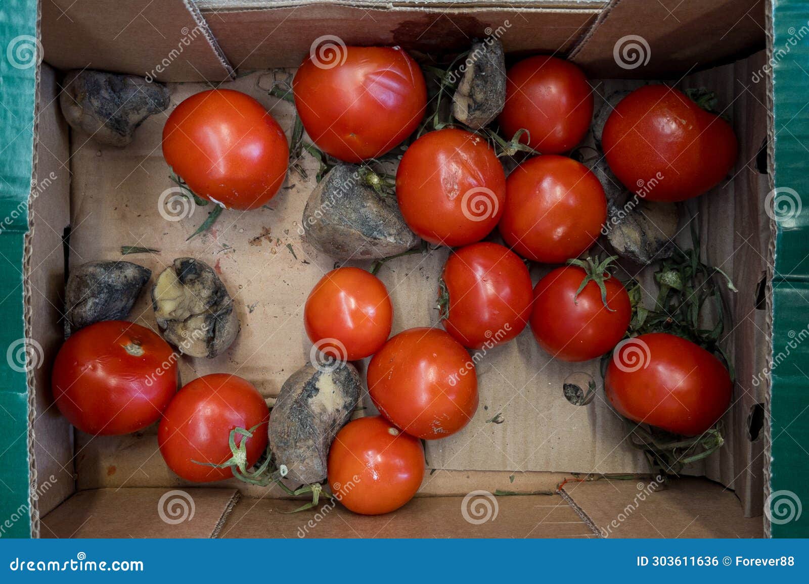 Dirty Boxes with Rotten Tomatoes. Garbage and Food Waste Stock Photo ...