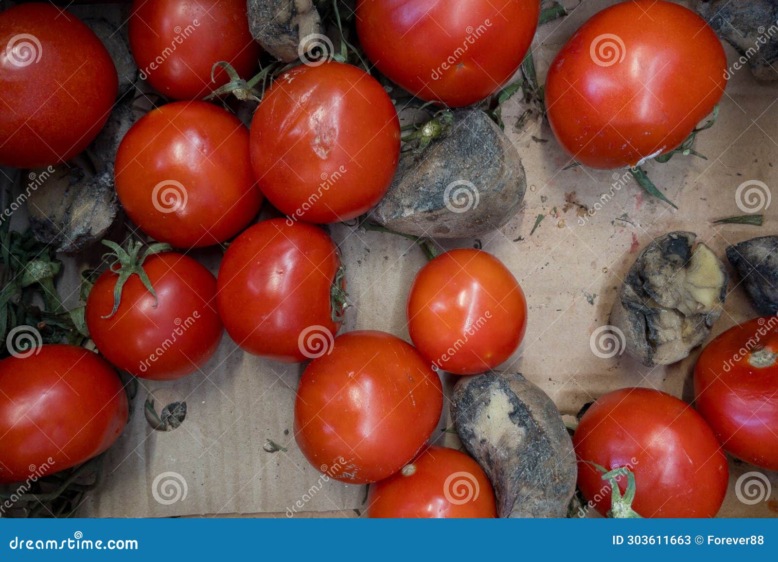 Dirty Boxes with Rotten Tomatoes. Garbage and Food Waste Stock Image ...