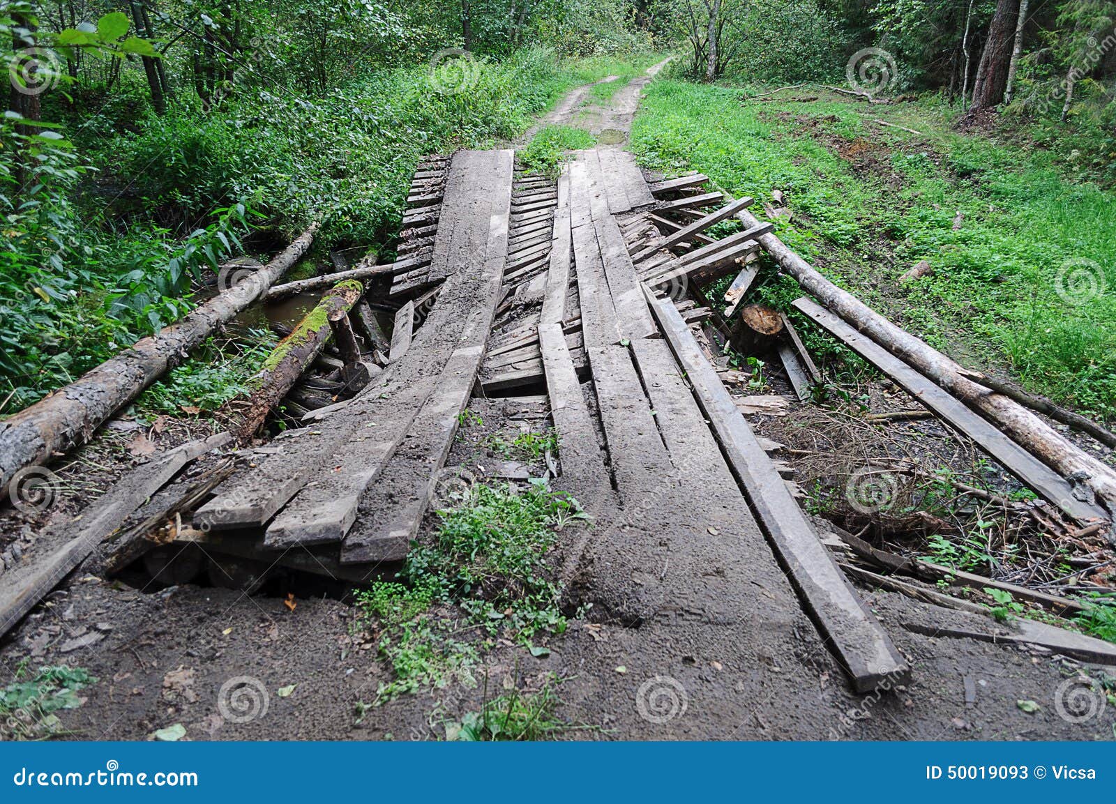 Dirty Broken Wooden Bridge in Forest Stock Image - Image of plank ...