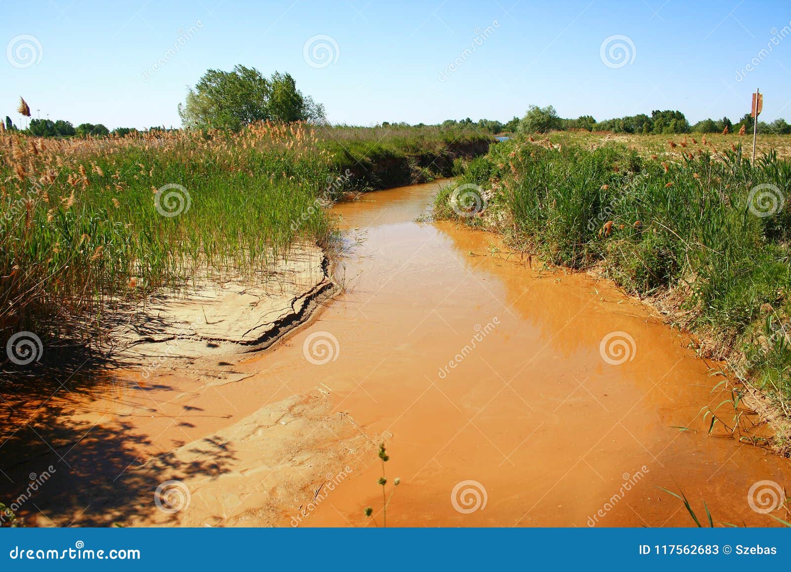 Dirty Canal Water stock image. Image of dirty, brown - 117562683