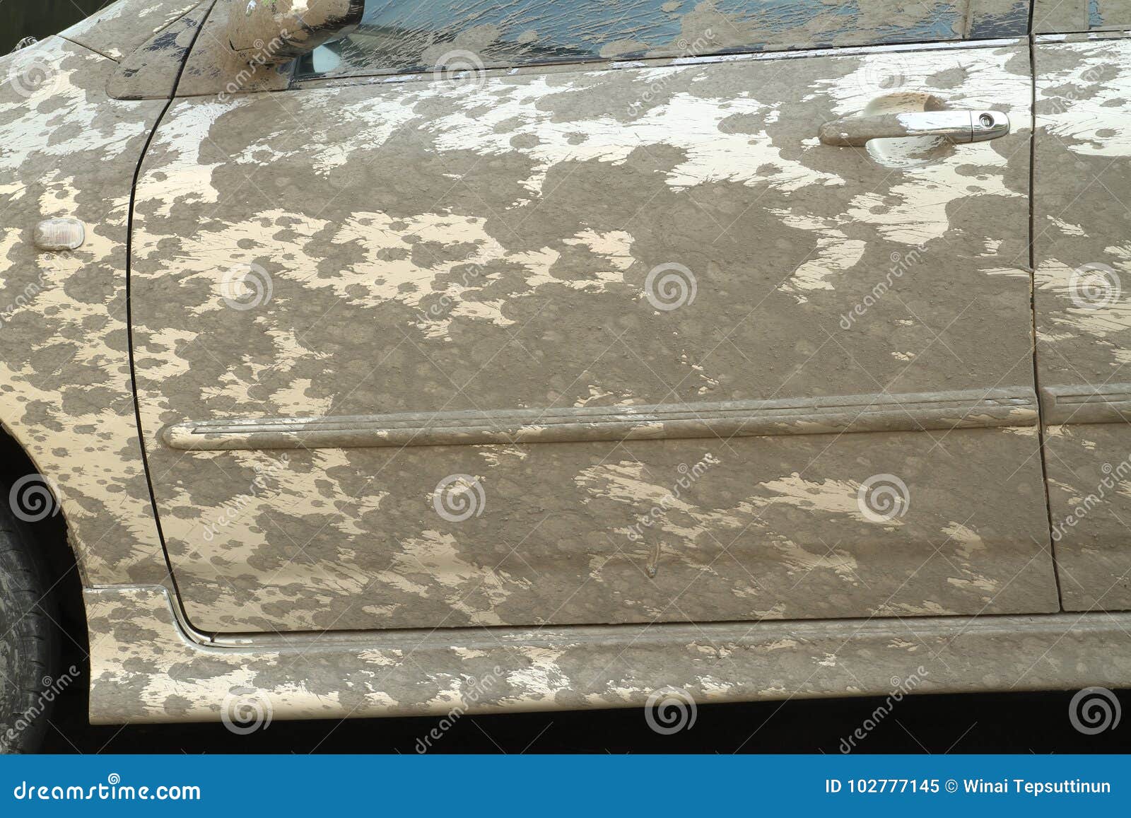 Dirty car stock image. Image of dust, vehicle, swamp - 102777145