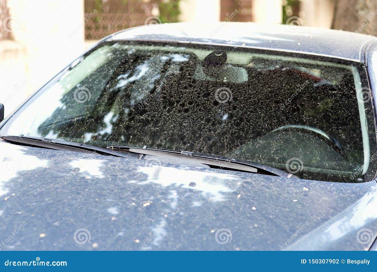 Dirty Car with Unwashed Windshield in Dust. Stock Photo - Image of ...