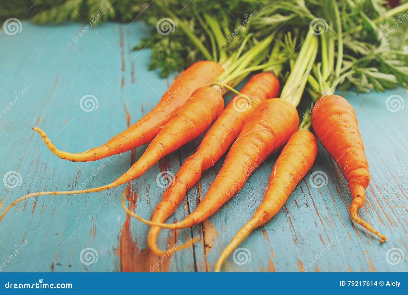 Dirty carrots bunch stock photo. Image of bunch, vegetable - 79217614