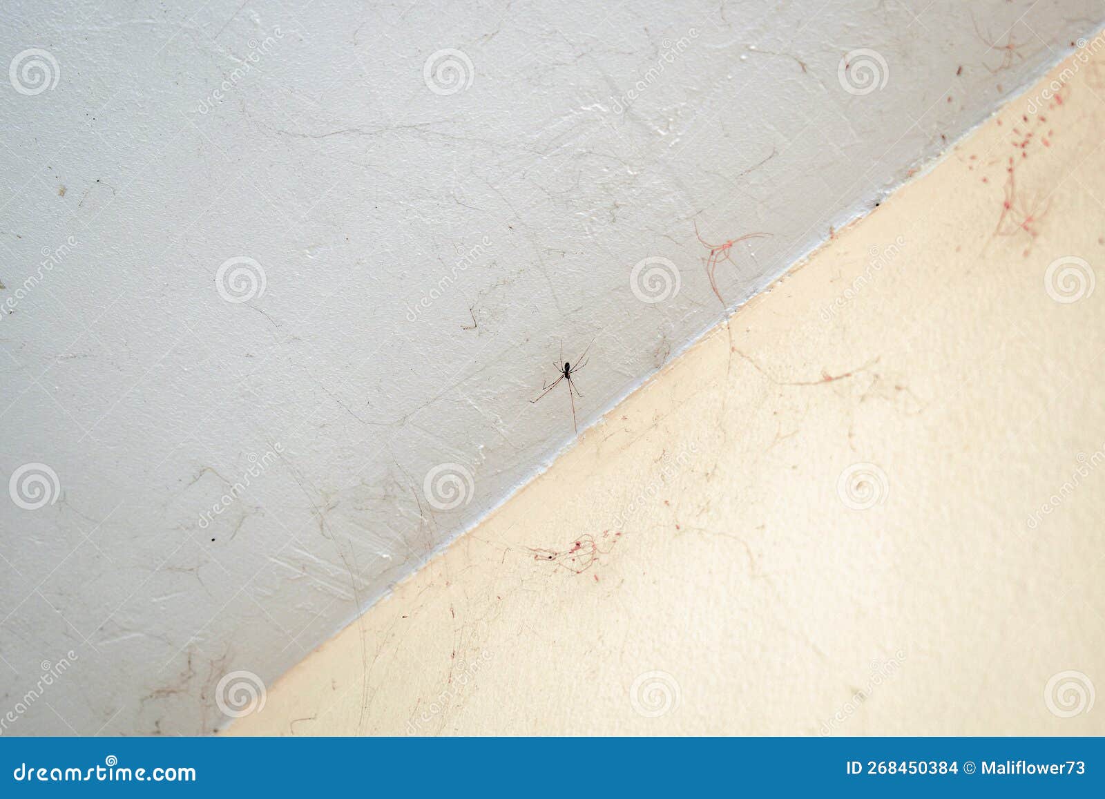 Dirty Ceiling and Wall Texture for Background. Stock Photo - Image of ...