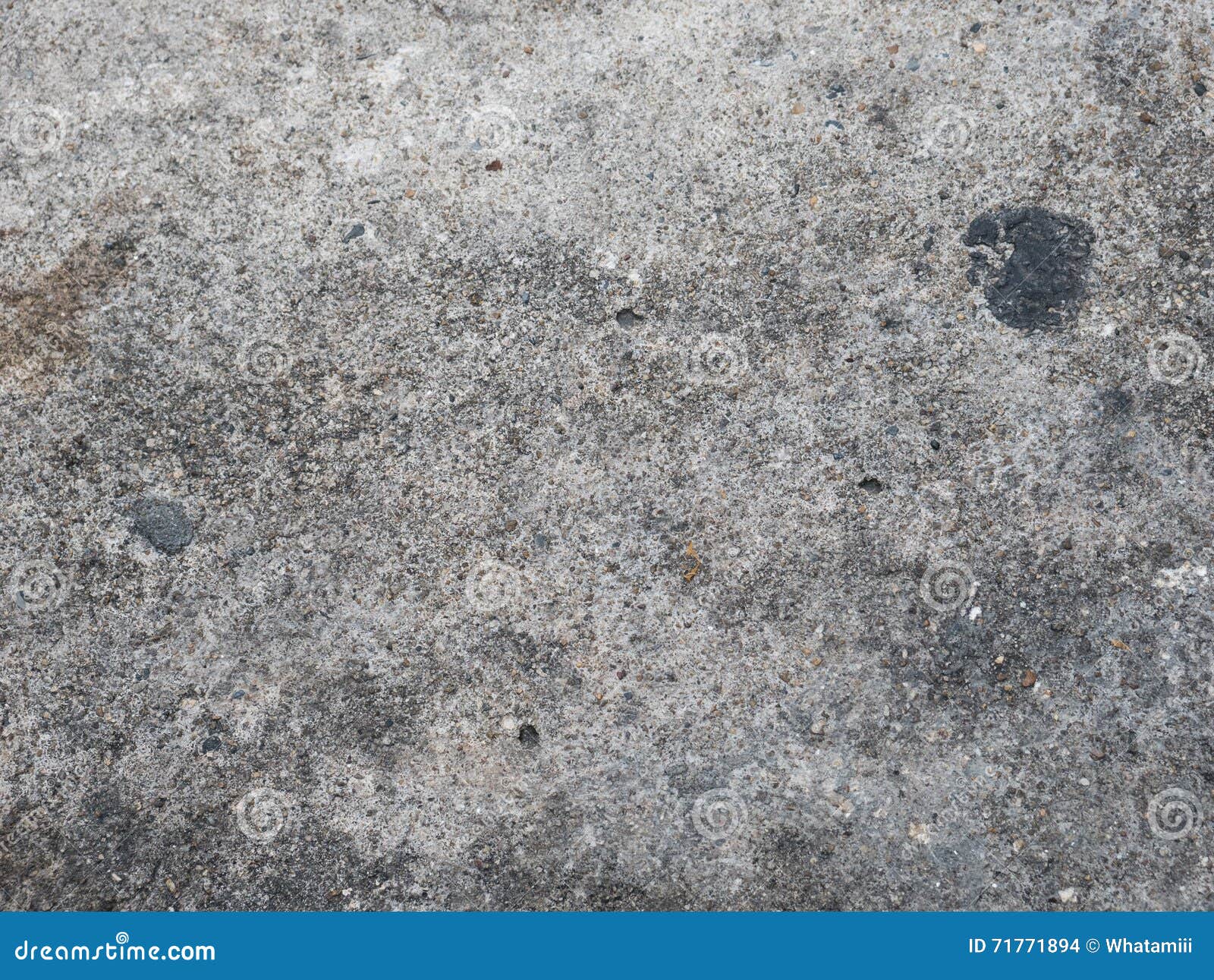 Dirty cement texture stock photo. Image of white, grunge - 71771894
