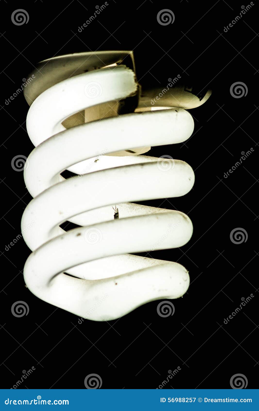 Dirty CFL Bulb stock image. Image of light, beach, leaves - 56988257
