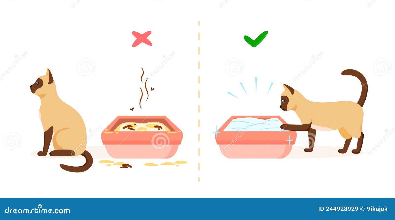 Proper Way To Clean Cat Litter Box At Bobby Flores Blog