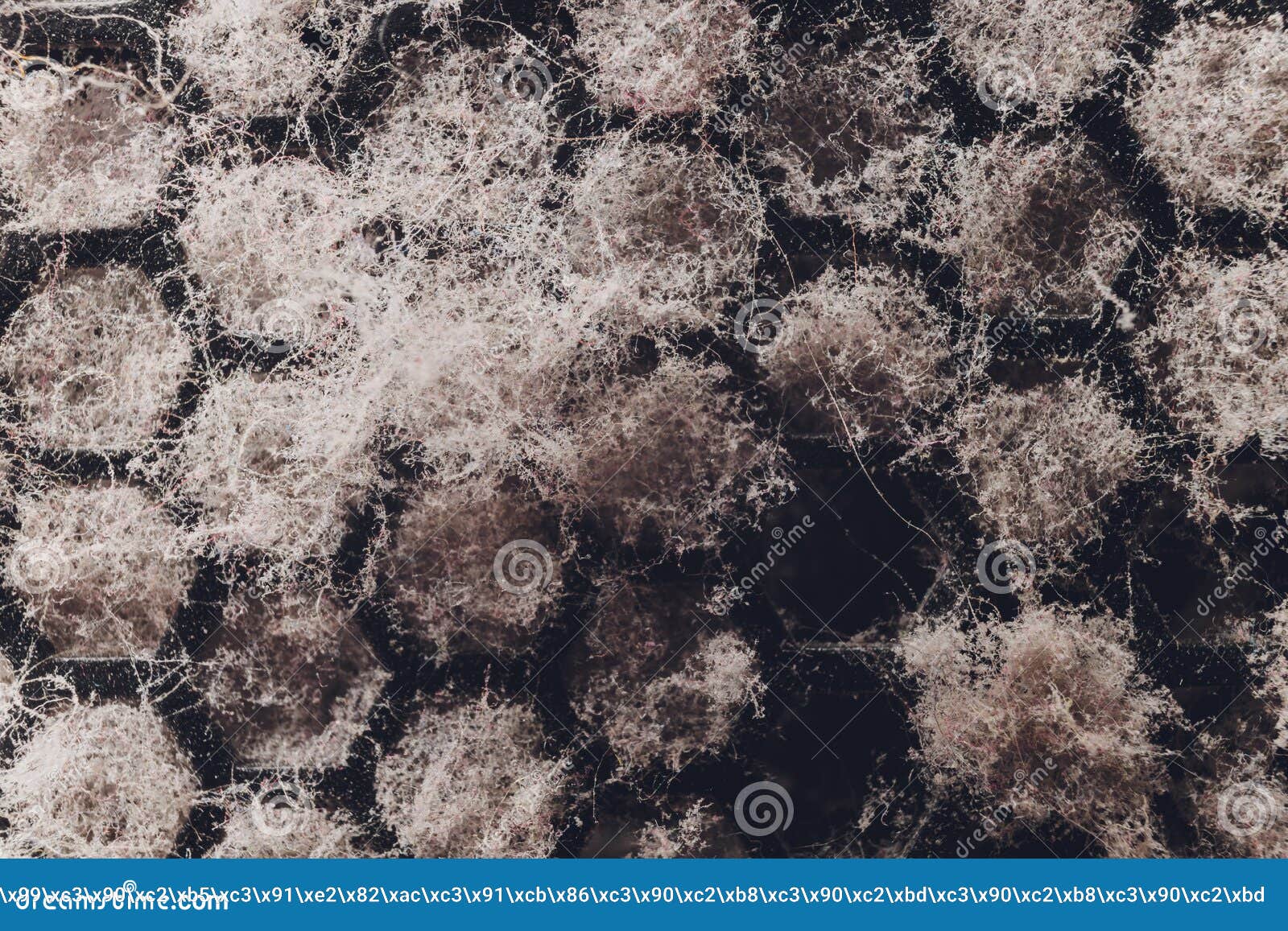 Dirty Computer Case.Dust Layer on the System Unit.Time To Clean Your ...