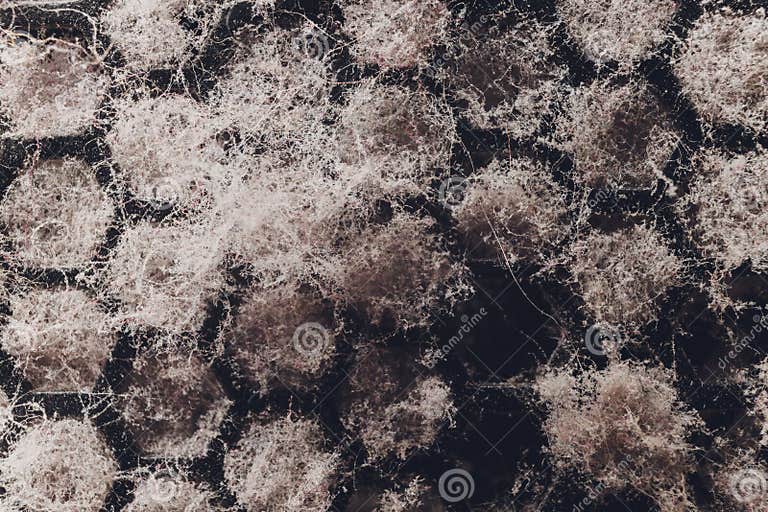 Dirty Computer Case.Dust Layer on the System Unit.Time To Clean Your ...