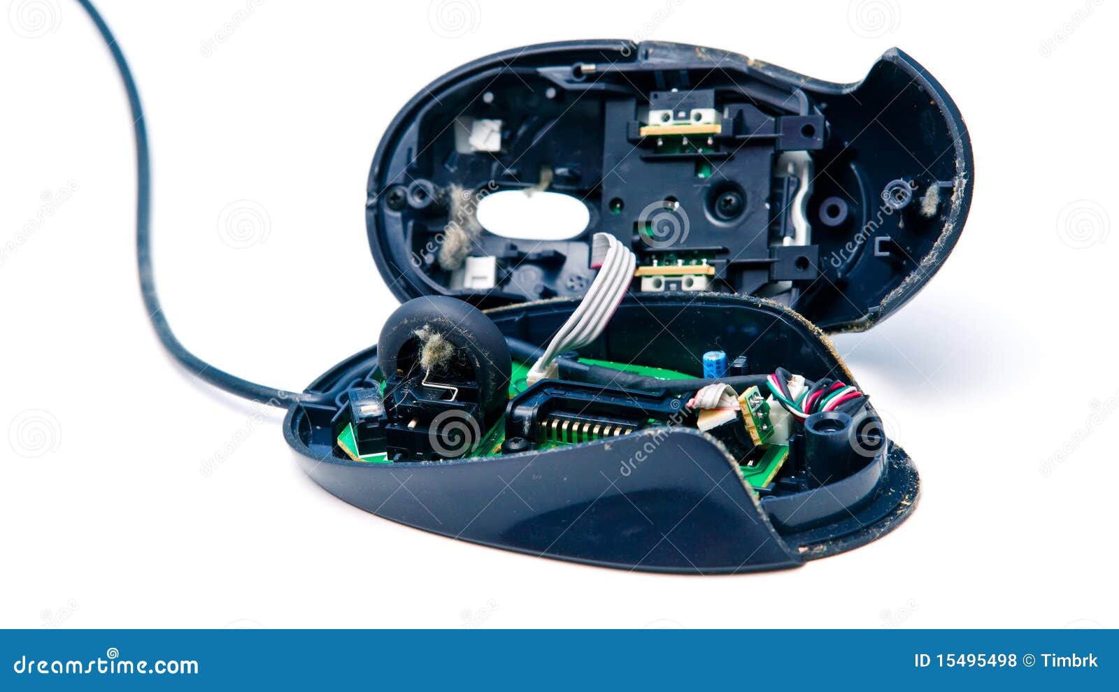 Dirty computer mouse stock photo. Image of inside, isolated - 15495498