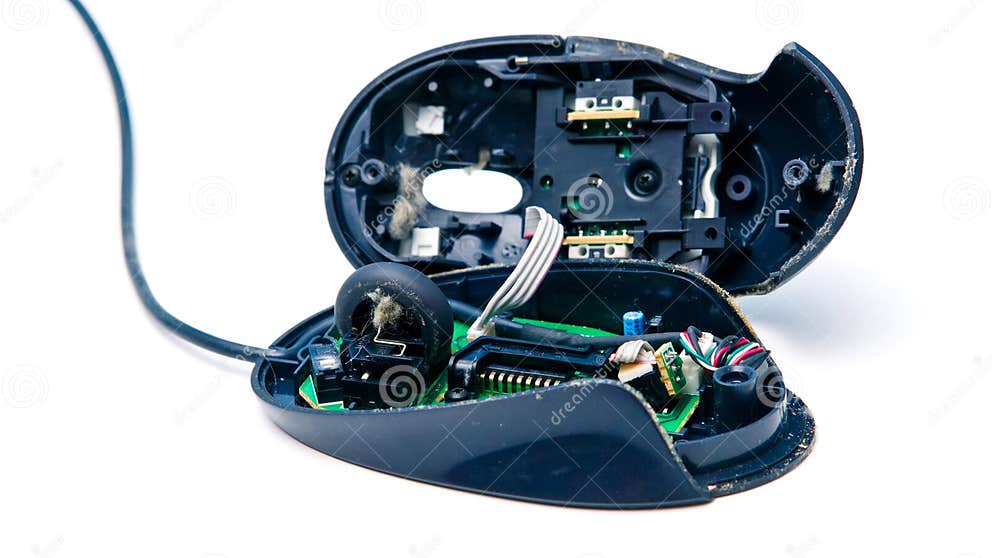 Dirty computer mouse stock photo. Image of inside, isolated - 15495498