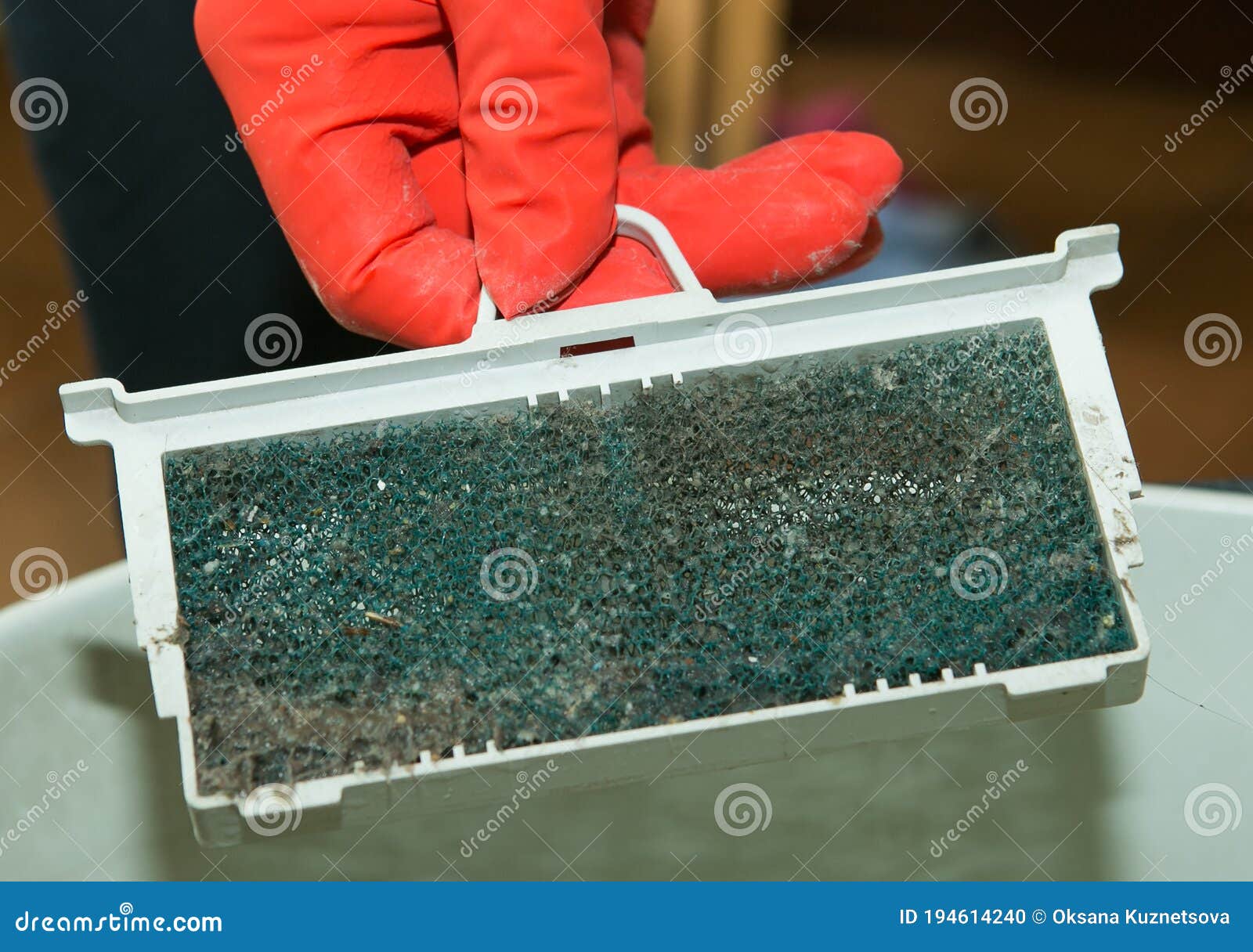 The Process of Cleaning a Room with a Vacuum Cleaner with an Aquafilter ...