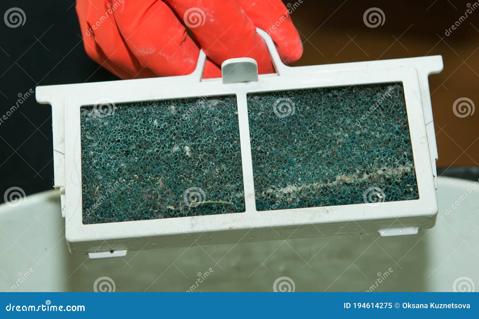 The Process of Cleaning a Room with a Vacuum Cleaner with an Aquafilter ...