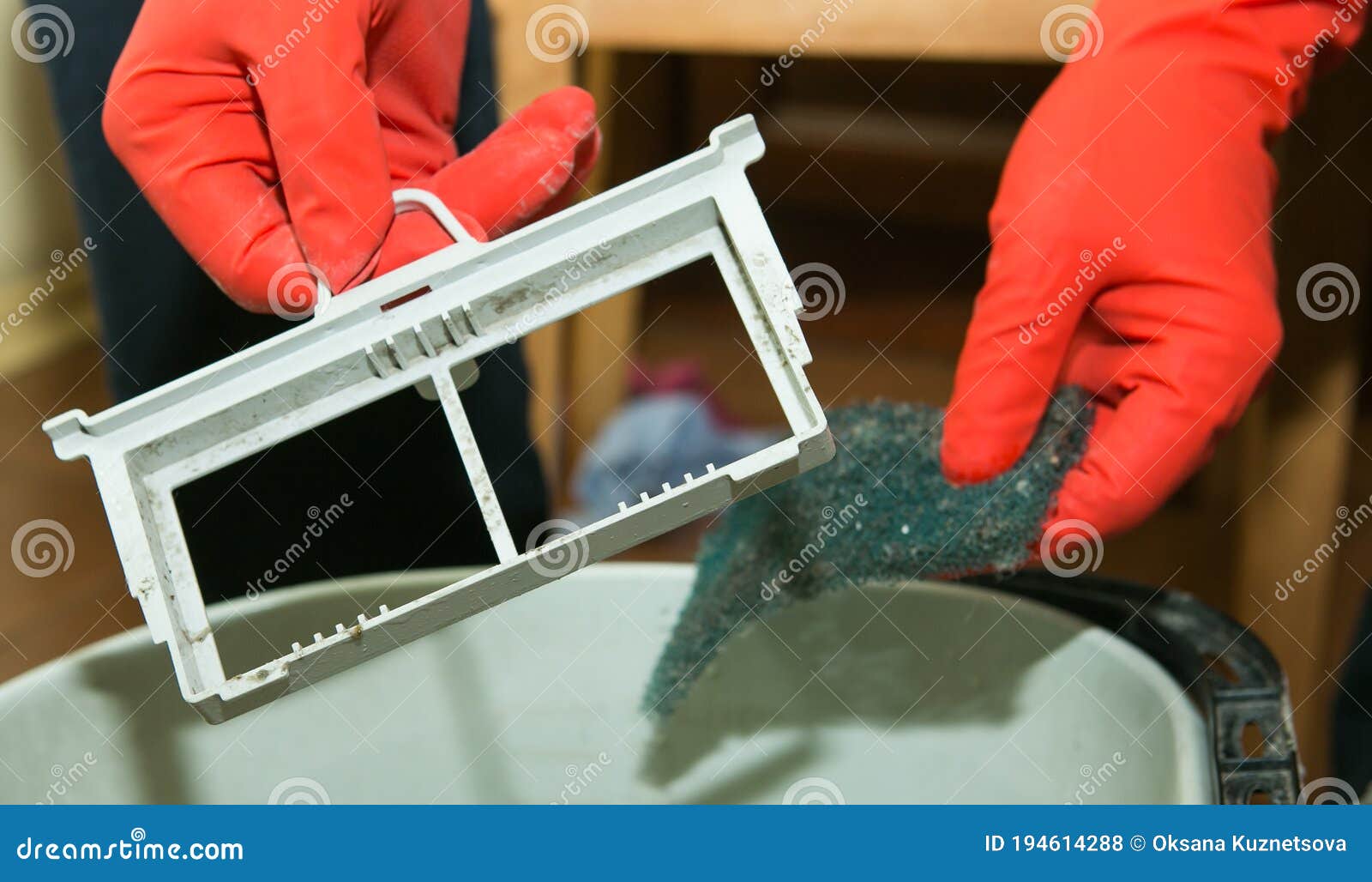 The Process of Cleaning a Room with a Vacuum Cleaner with an Aquafilter ...