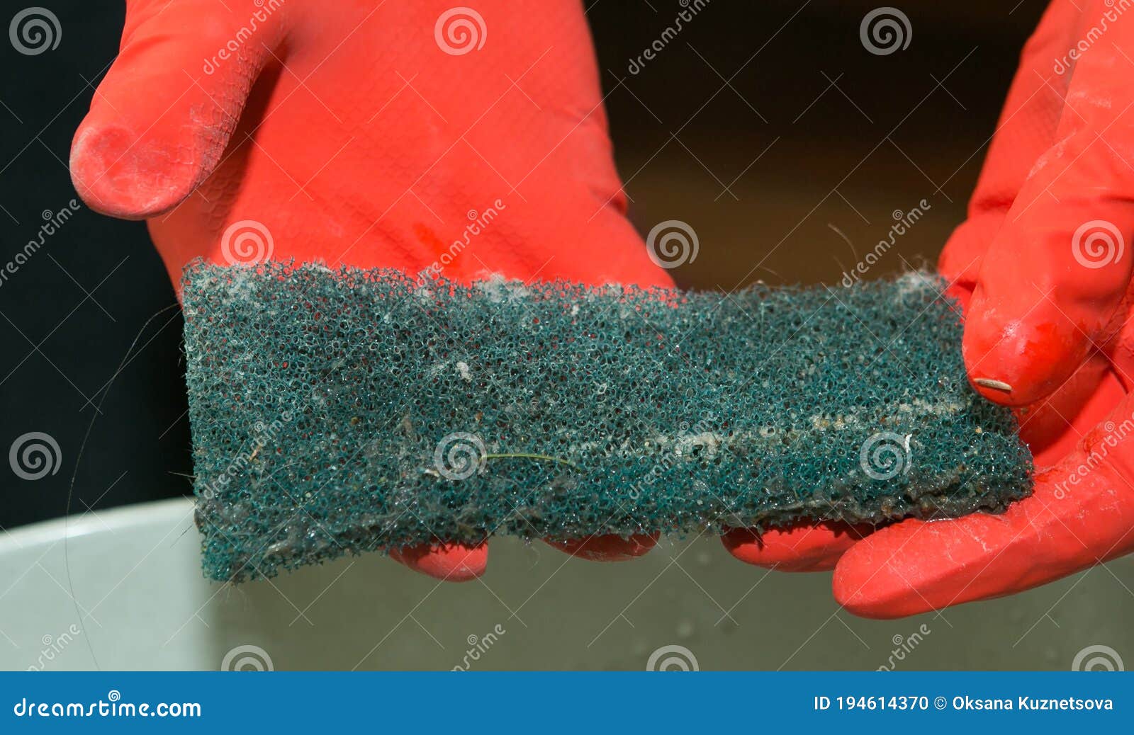 The Process of Cleaning a Room with a Vacuum Cleaner with an Aquafilter ...