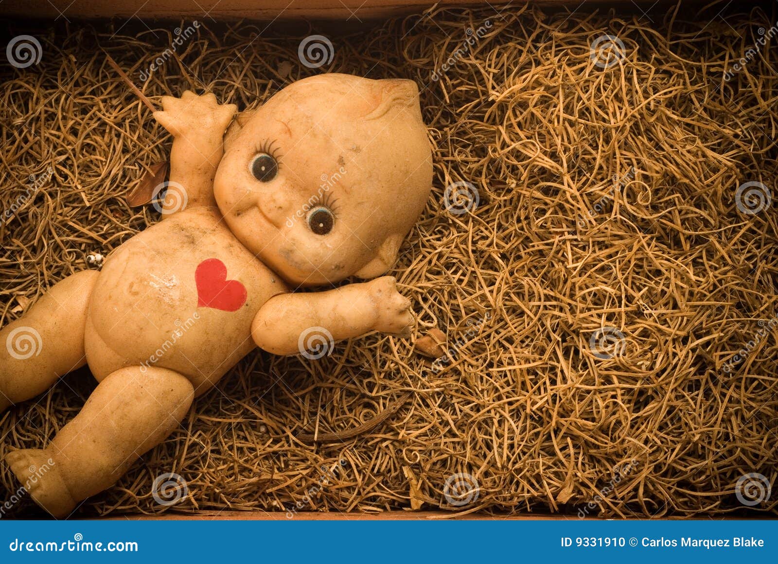 Rag Doll. Royalty-Free Stock Photography | CartoonDealer.com #42893975